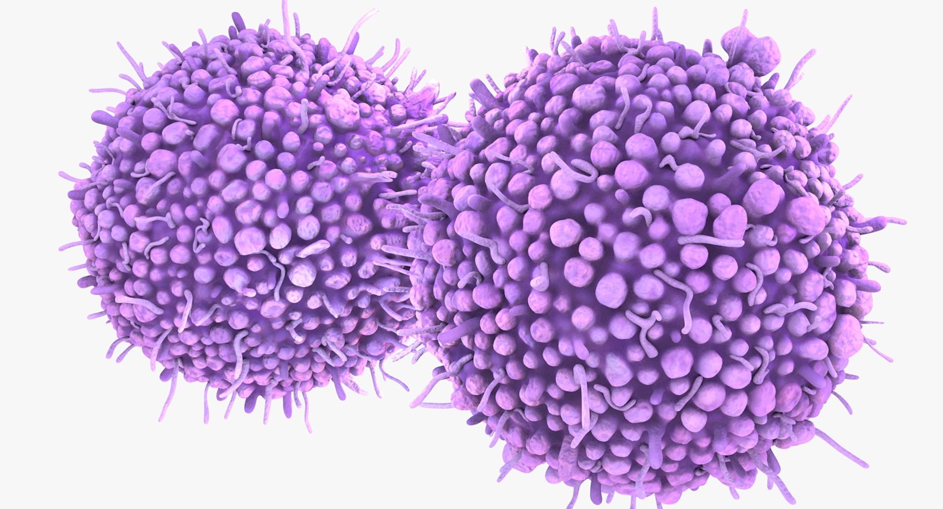 3D Cancer Cells Model - TurboSquid 1396950