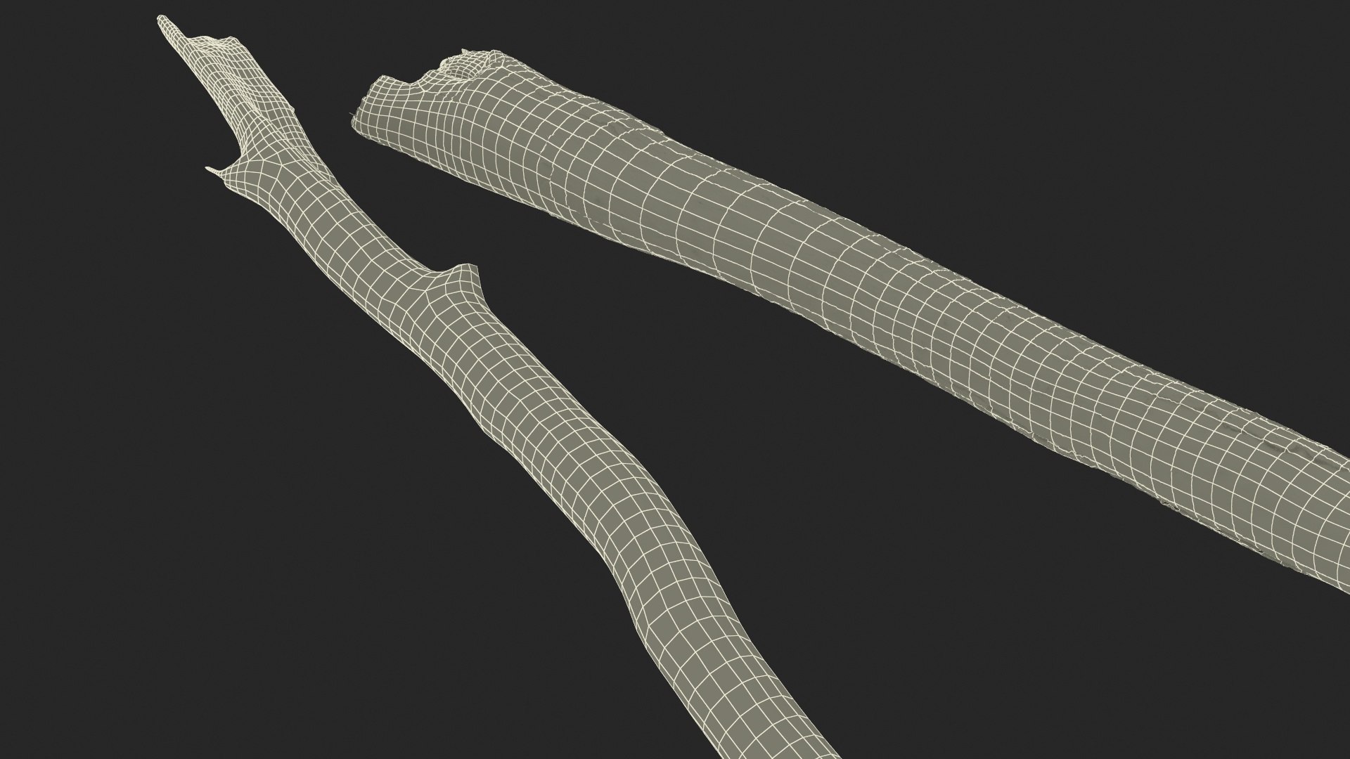 3D Broken Dry Branch - TurboSquid 2276464
