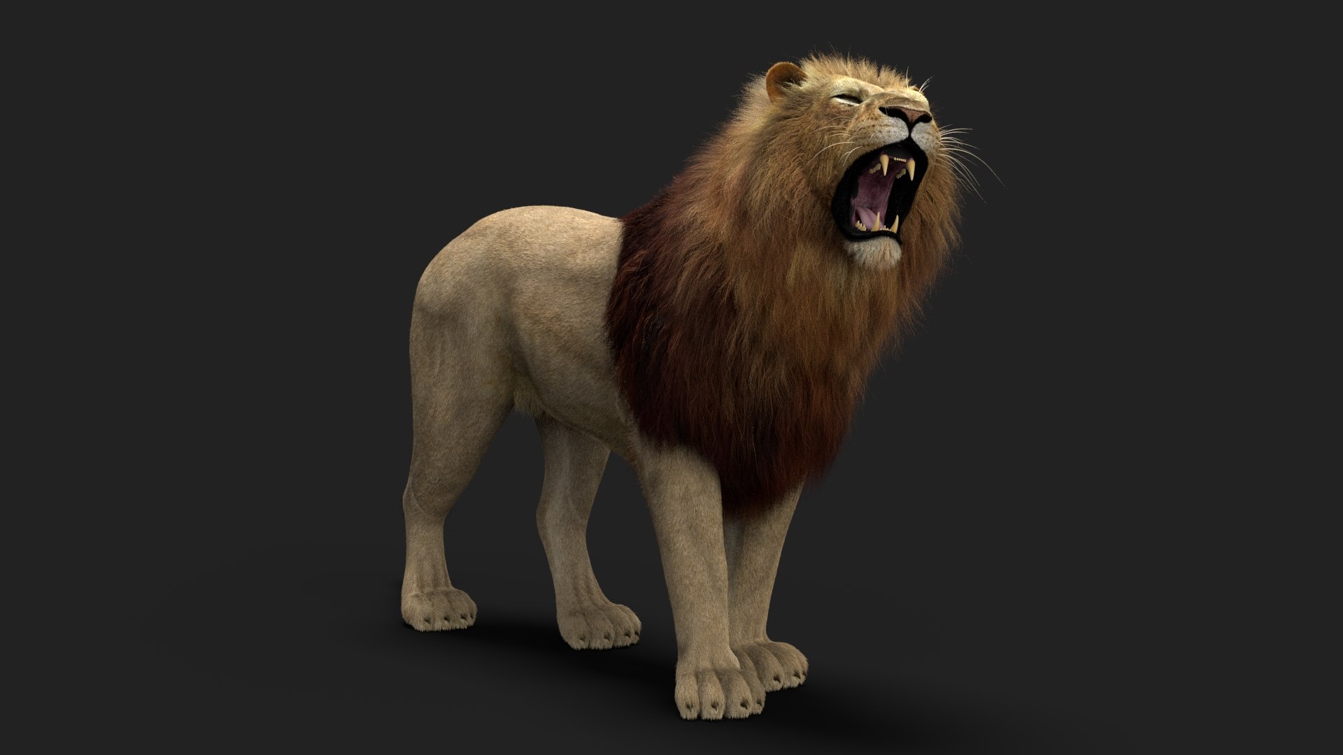 Photo Realistic Lion 3 3D - TurboSquid 1479604