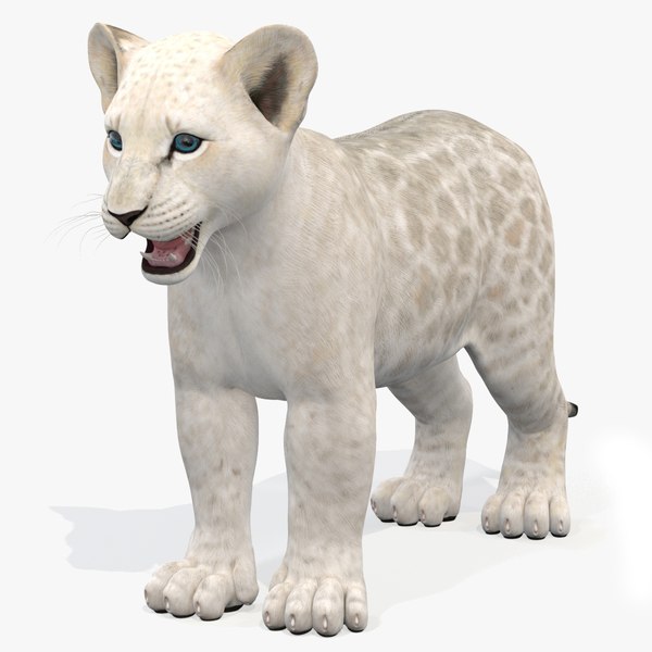 Lion cub white modeled 3D model - TurboSquid 1429559