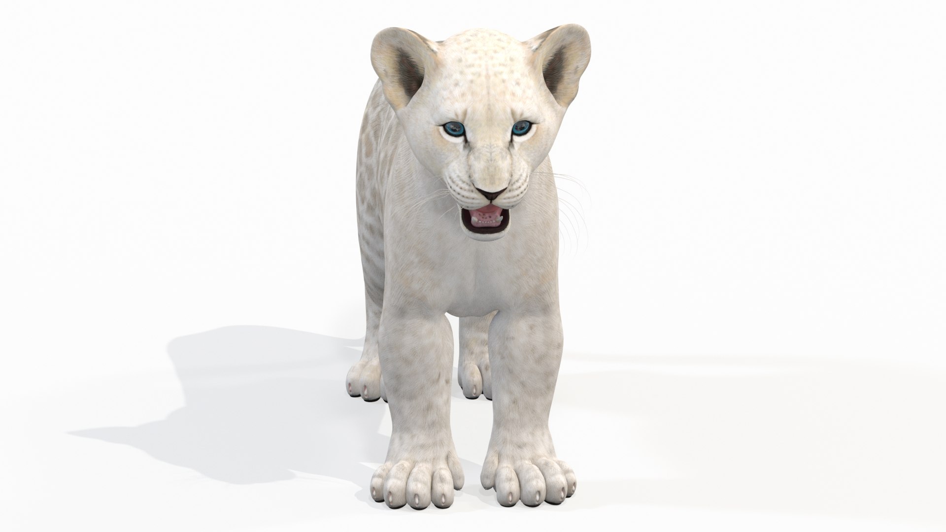 Lion Cub White Modeled 3D Model - TurboSquid 1429559