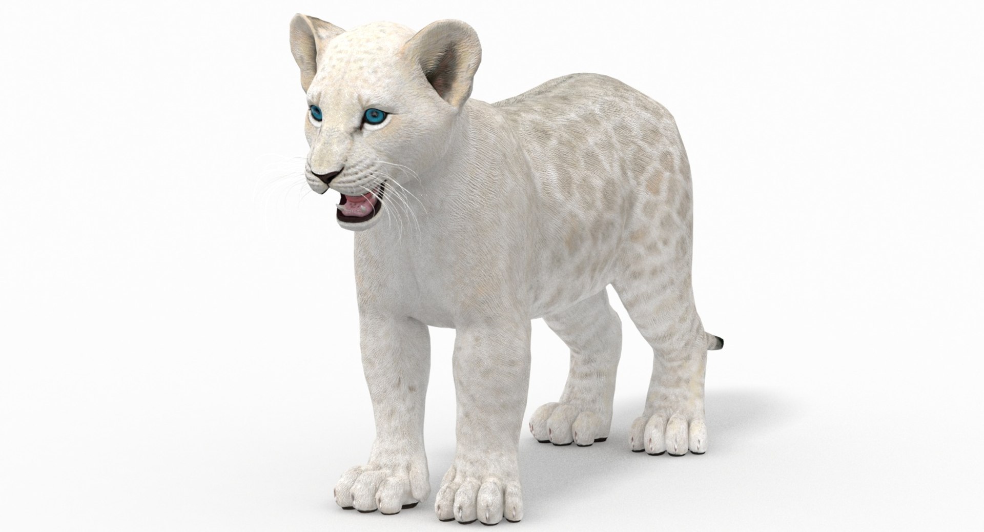 Lion Cub White Modeled 3D Model - TurboSquid 1429559