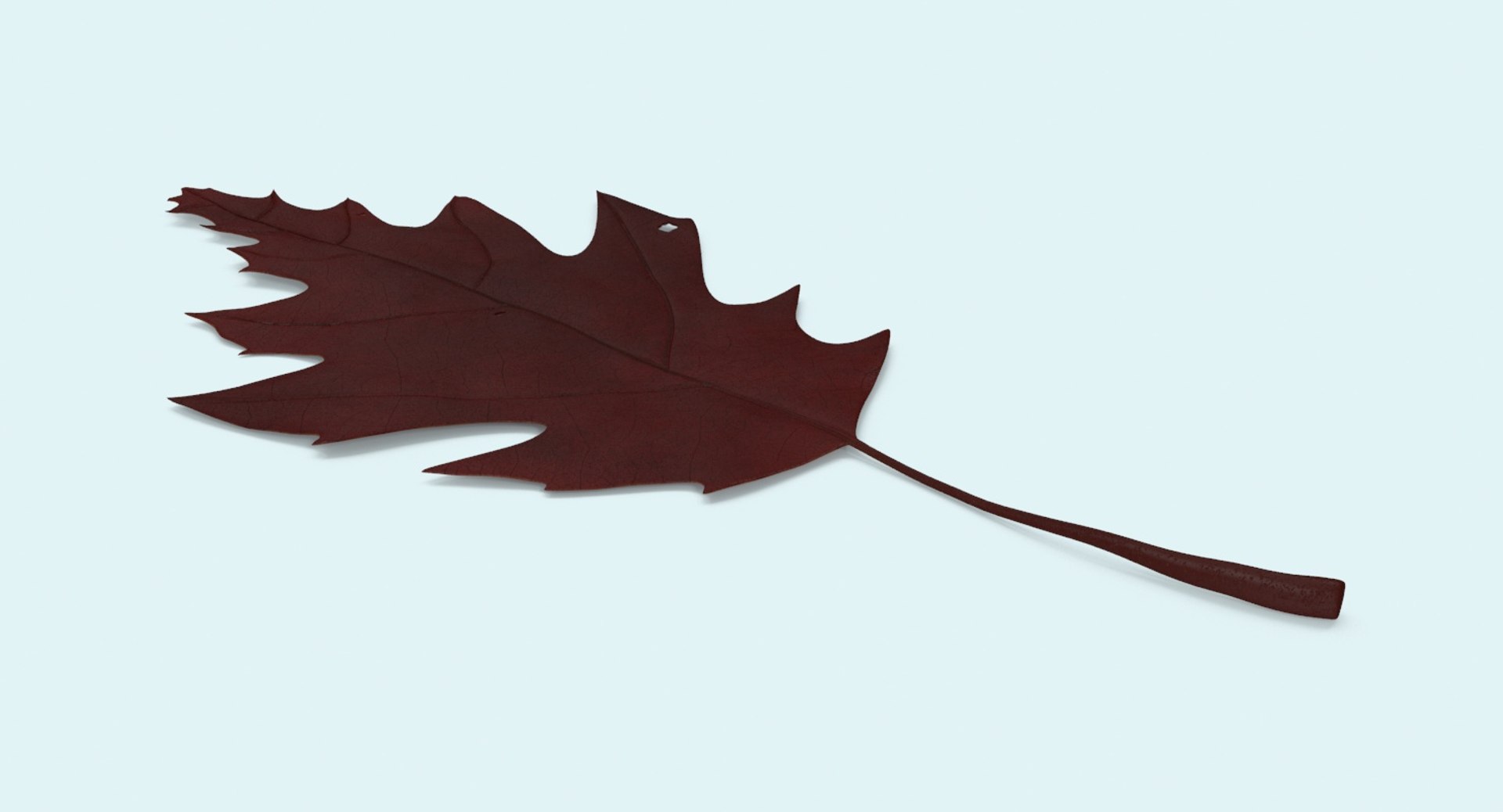 3d Red Oak Leaf 01 Model