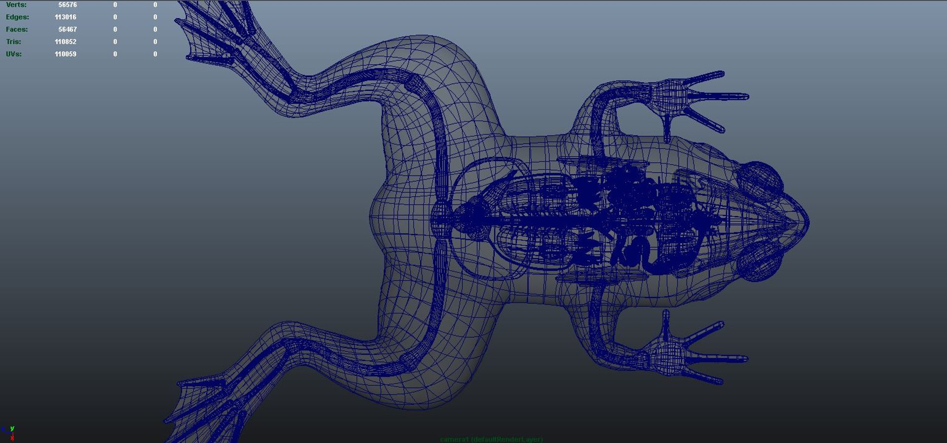 3D Frog Male Anatomt System - TurboSquid 1827194
