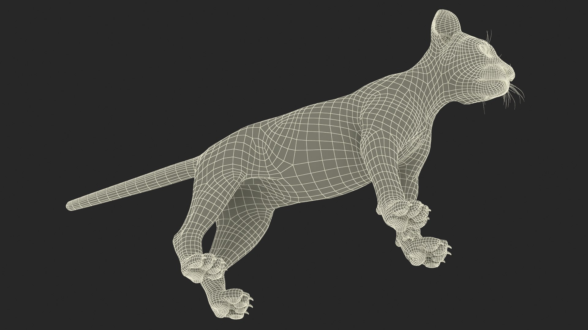 3D Model Lion Cub Rigged For Maya - TurboSquid 2377333