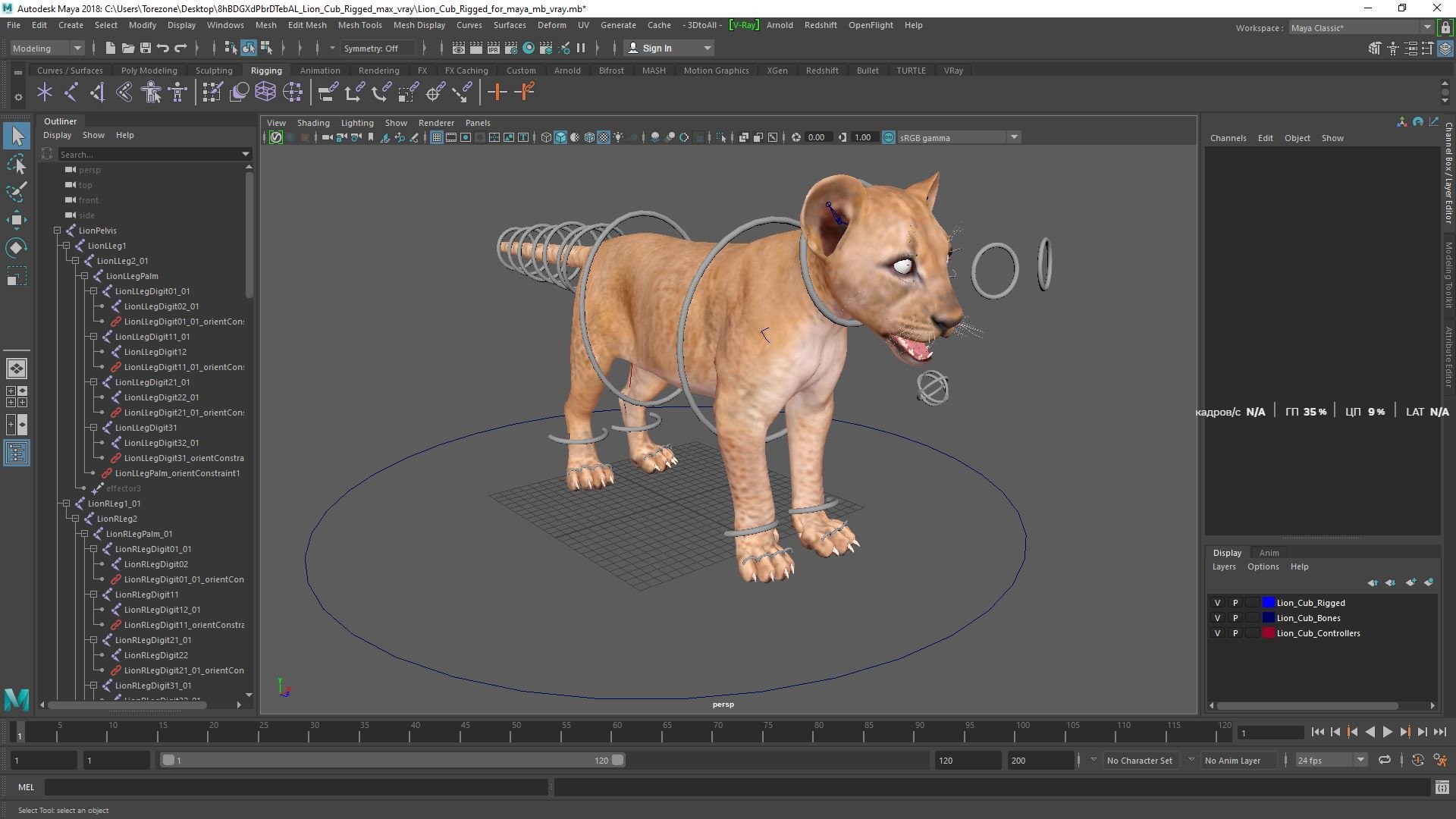 3D Model Lion Cub Rigged For Maya - TurboSquid 2377333