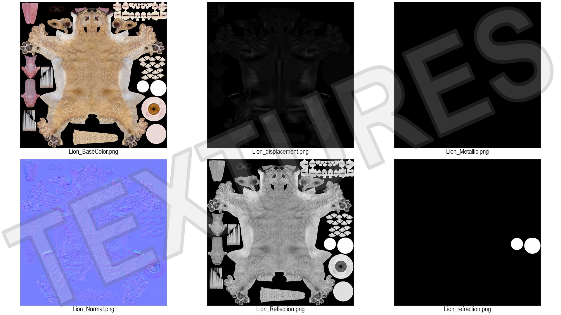 3D Model Lion Cub Rigged For Maya - TurboSquid 2377333