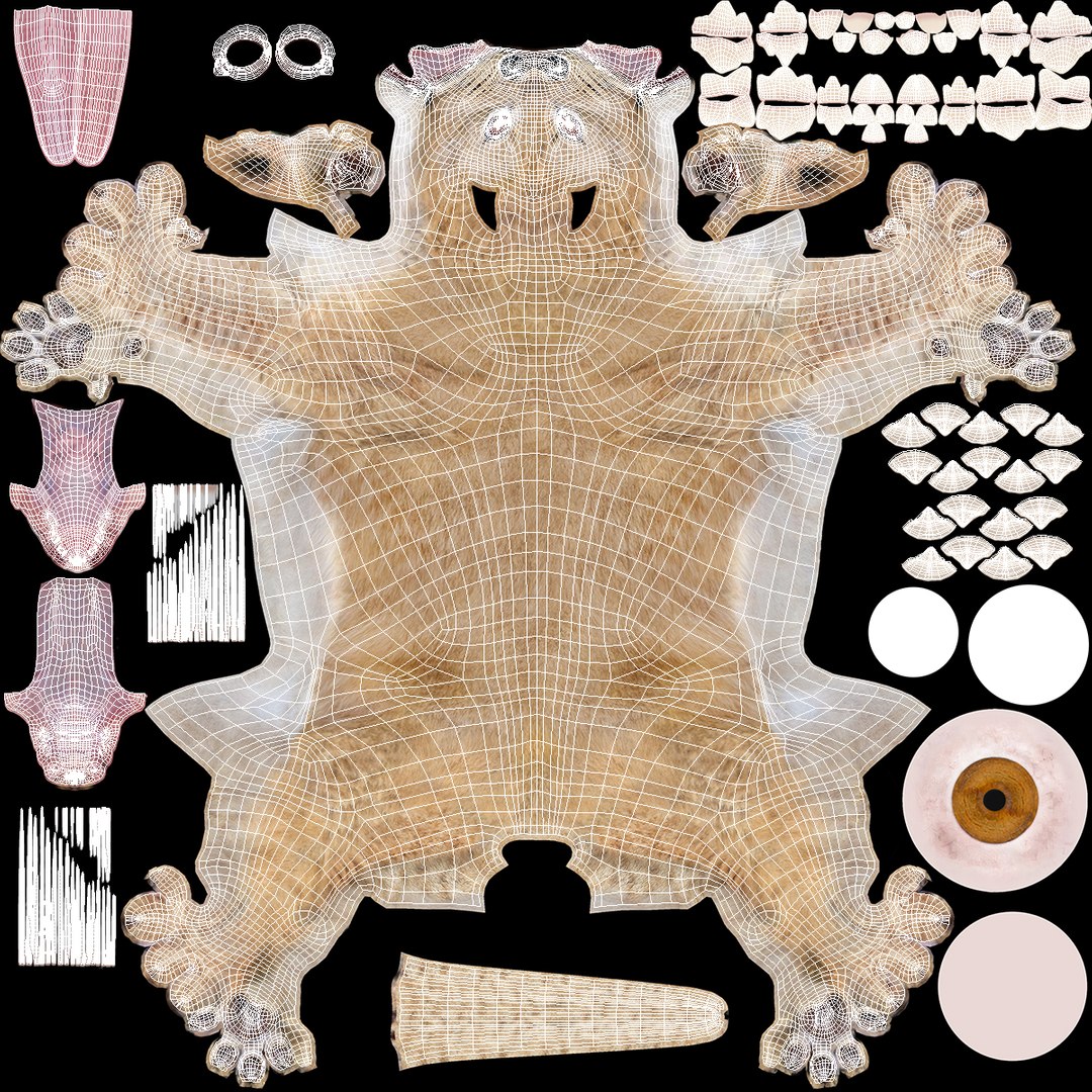 3D Model Lion Cub Rigged For Maya - TurboSquid 2377333