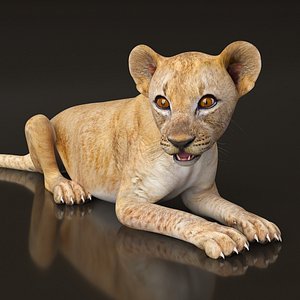 3D Lion Models - Browse & Download Formats - TurboSquid