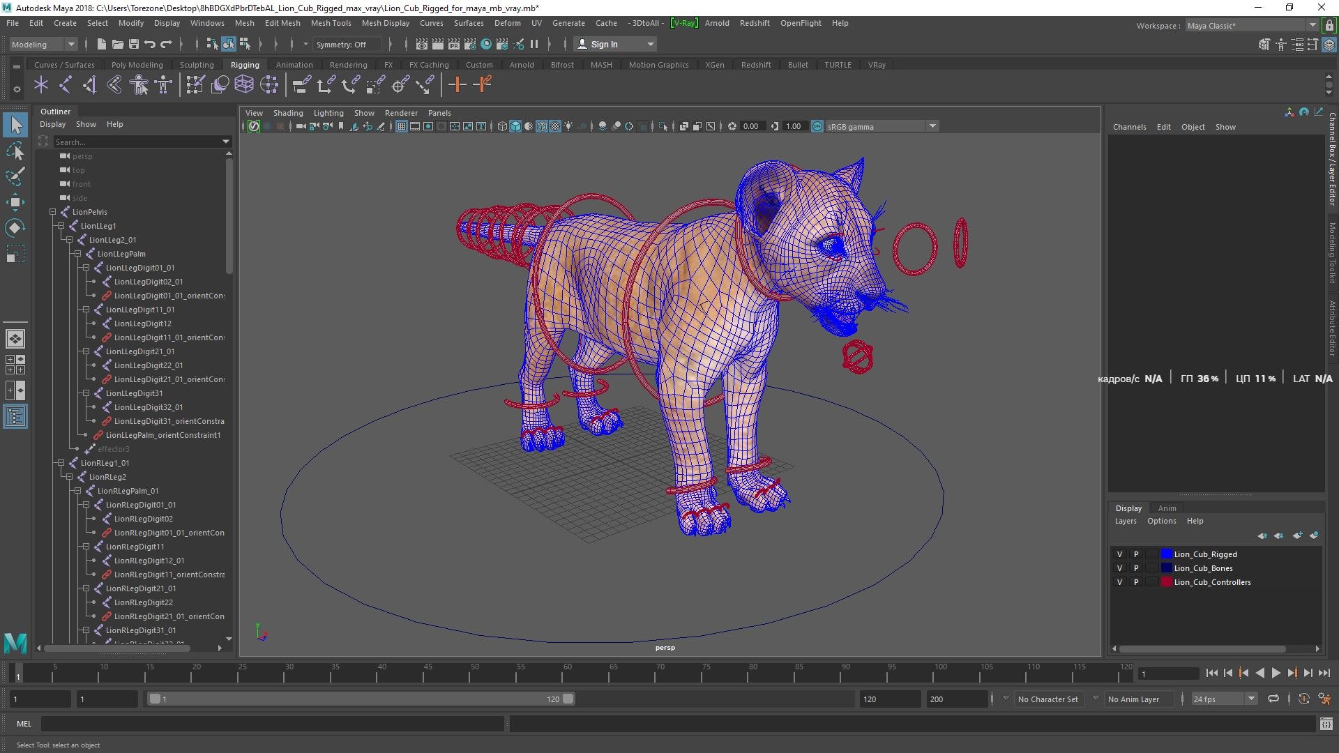 3D Model Lion Cub Rigged For Maya - TurboSquid 2377333