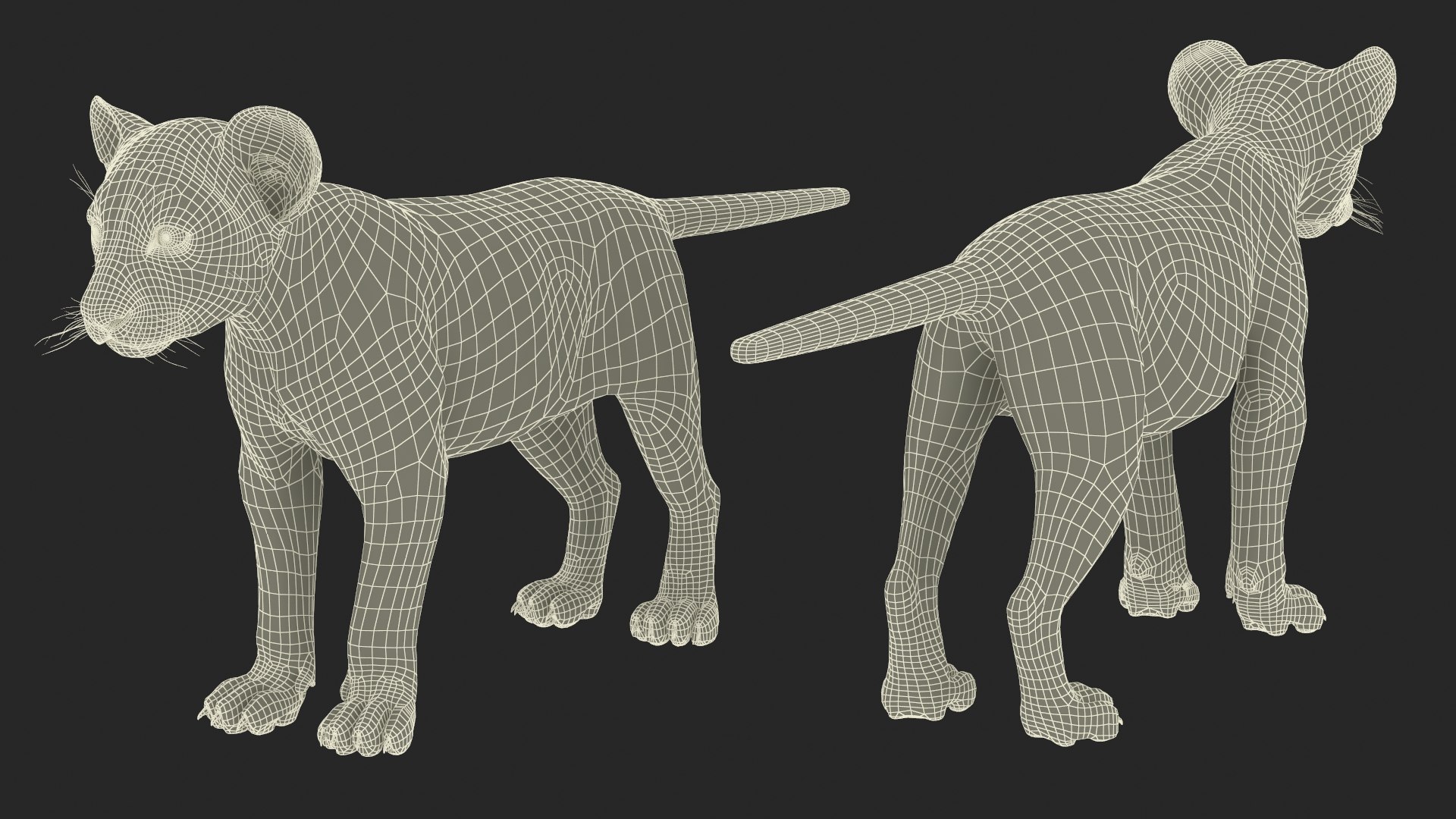 3D Model Lion Cub Rigged For Maya - TurboSquid 2377333