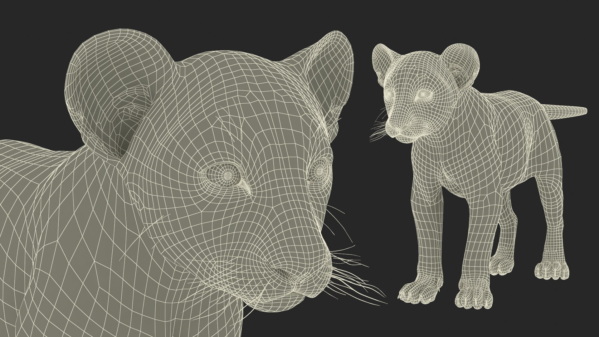 3D Model Lion Cub Rigged For Maya - TurboSquid 2377333