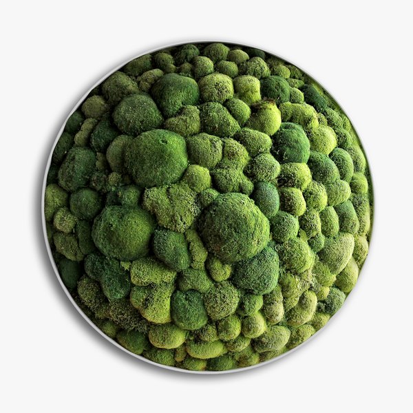 Panel moss circle 3D model | 1147512 | TurboSquid