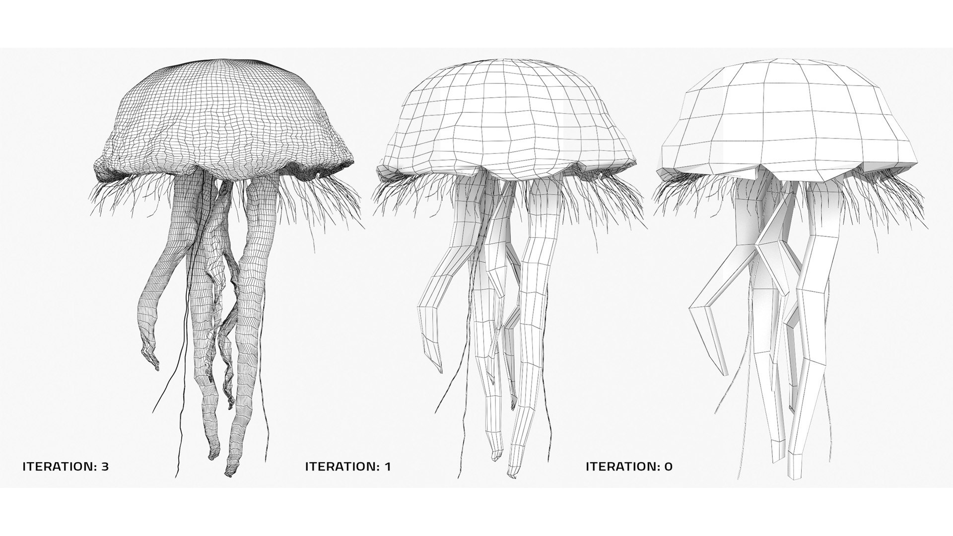 Realistic Jellyfish Collection Vol.1 3D Model - TurboSquid 2441985