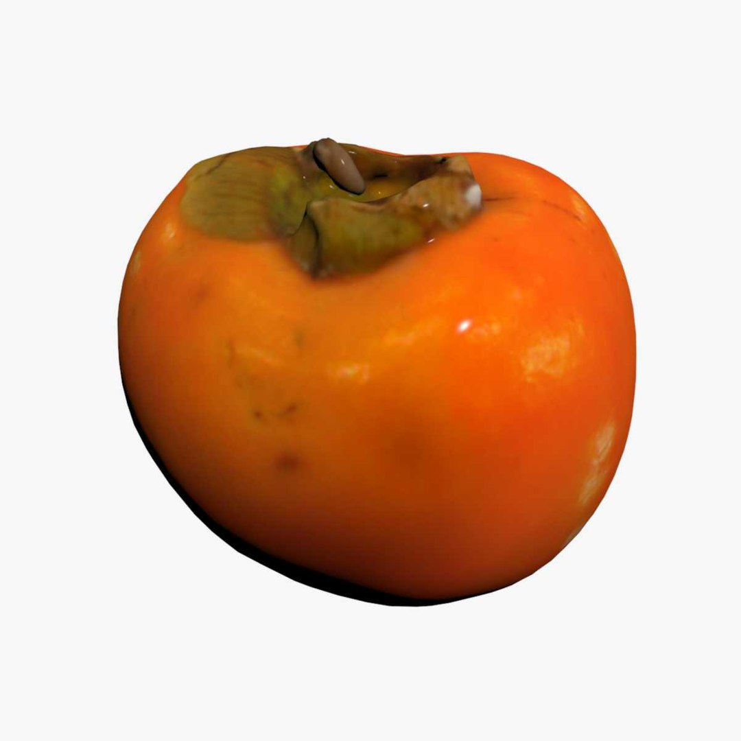 3D model Kaki 3D Scan High Quality - TurboSquid 1747534