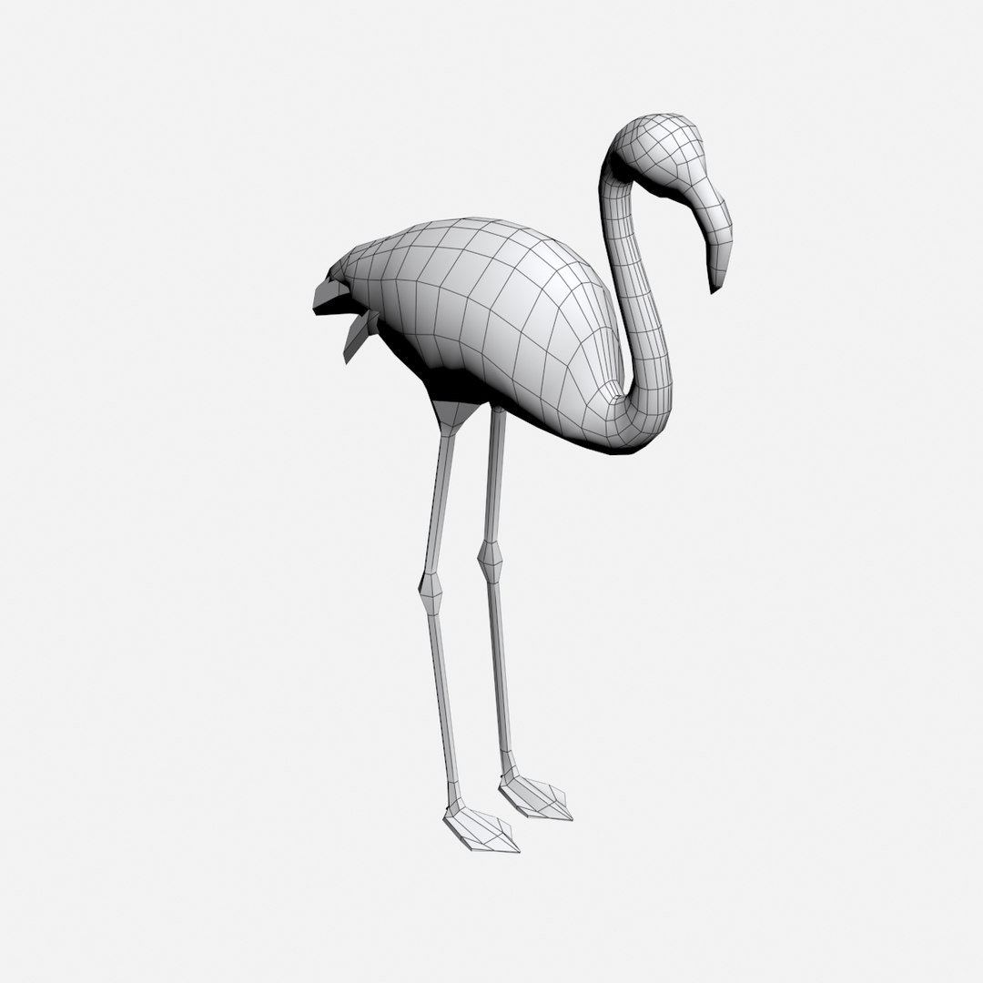 american flamingo 3d model