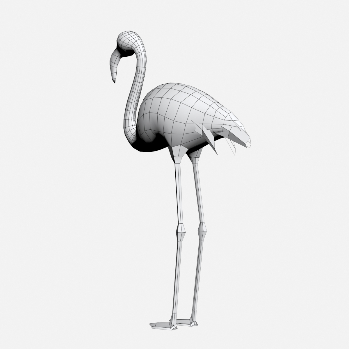 american flamingo 3d model