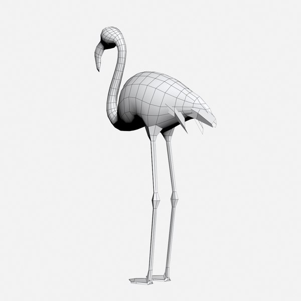 american flamingo 3d model