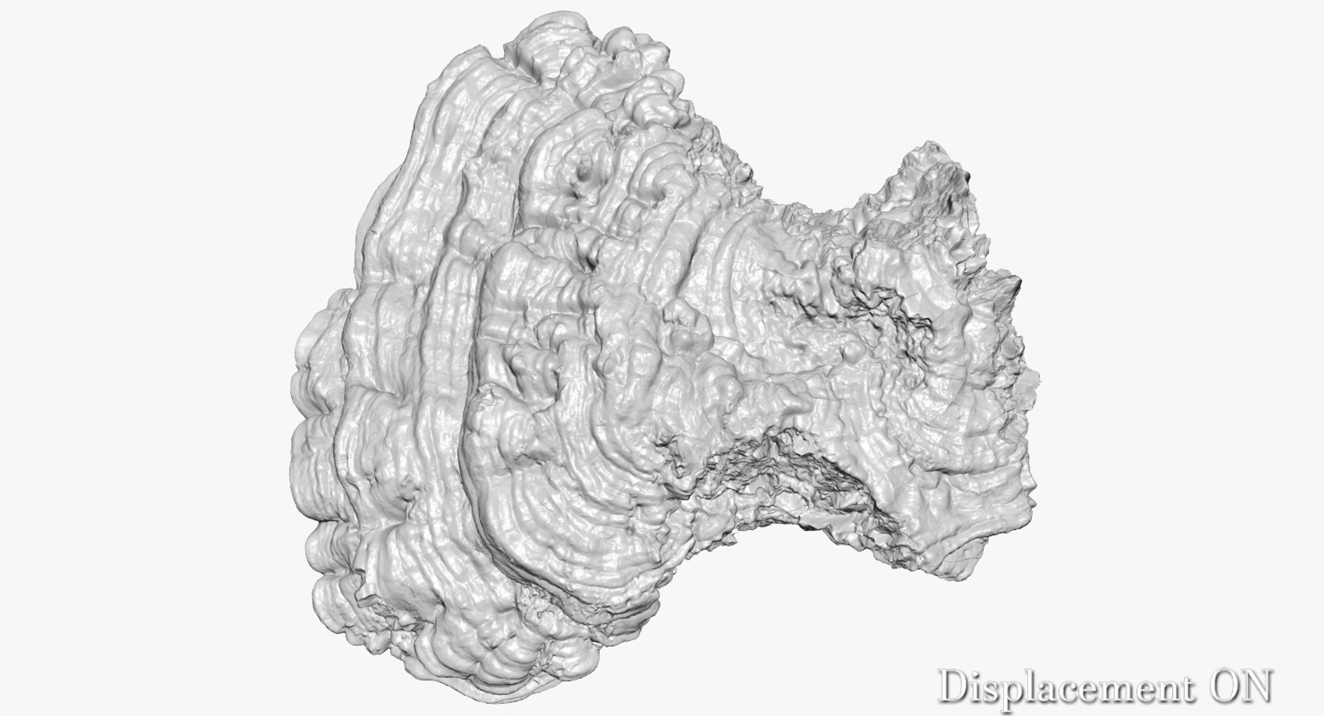 3d model mushroom polypore 2
