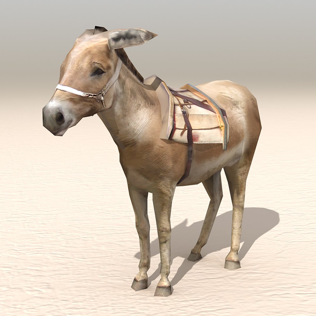 3ds Max Donkey Cart Arab Afghani