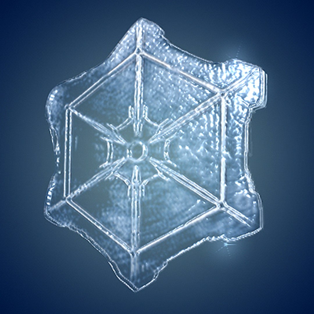 Snow Flakes 3d Model