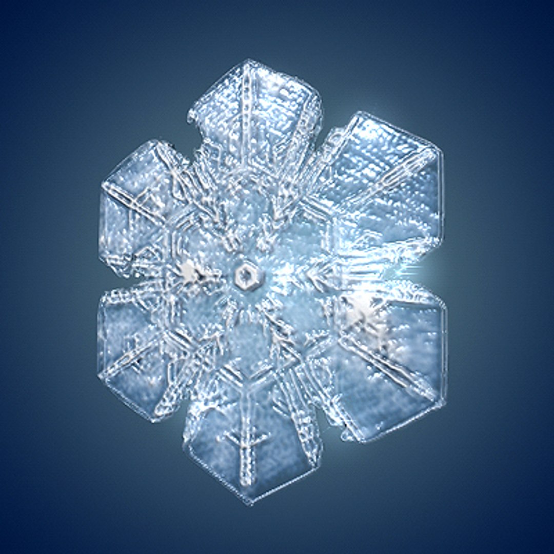 Snow Flakes 3d Model