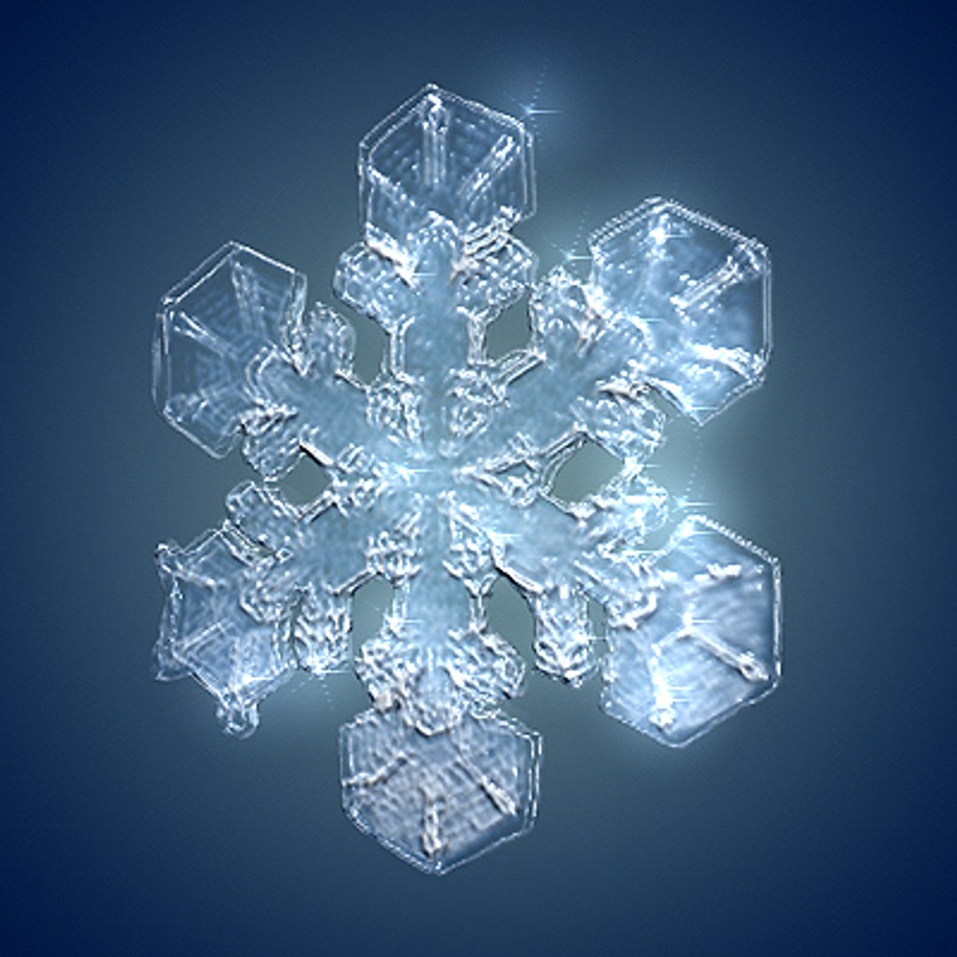 Snow Flakes 3d Model