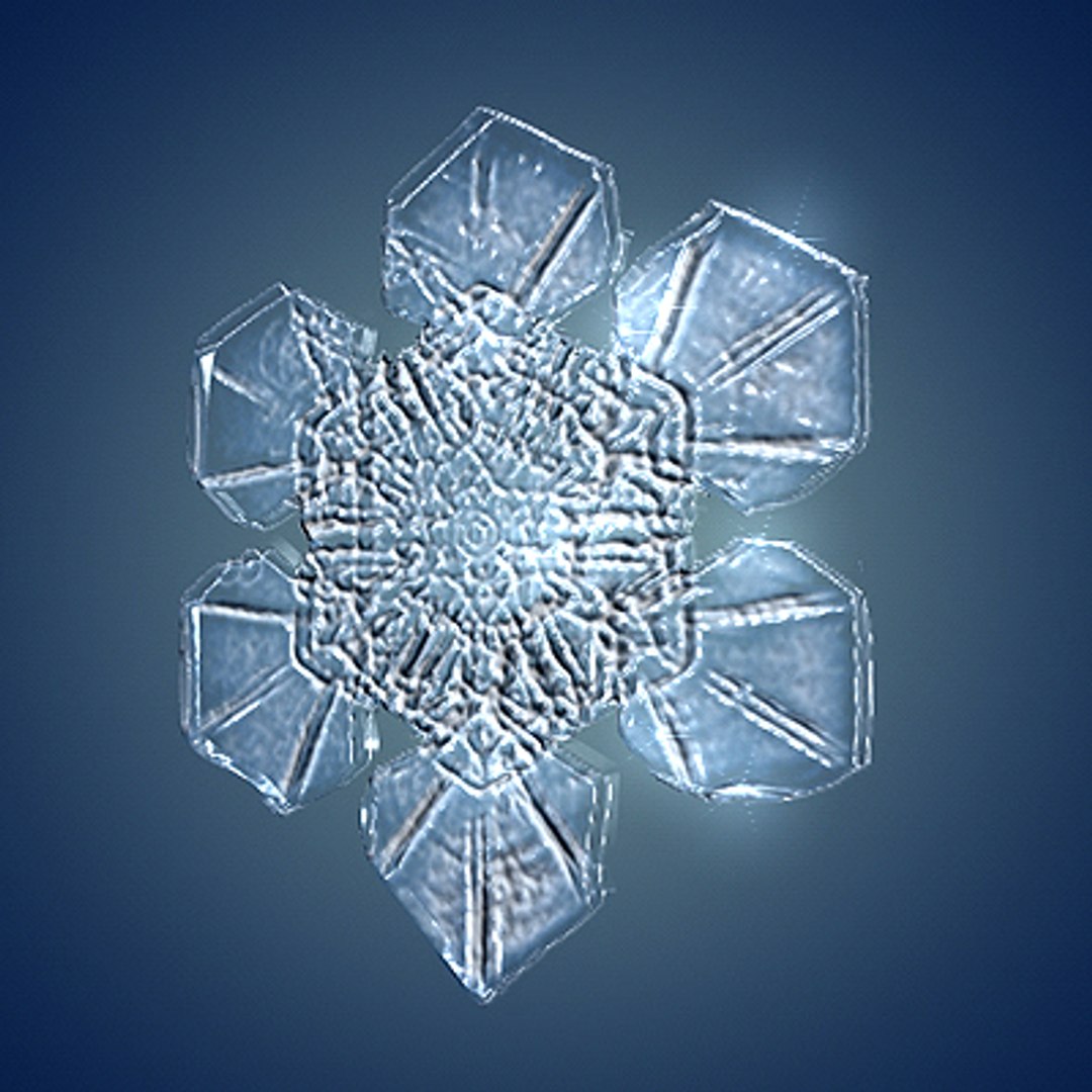 Snow Flakes 3d Model