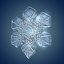 Snow Flakes 3d Model