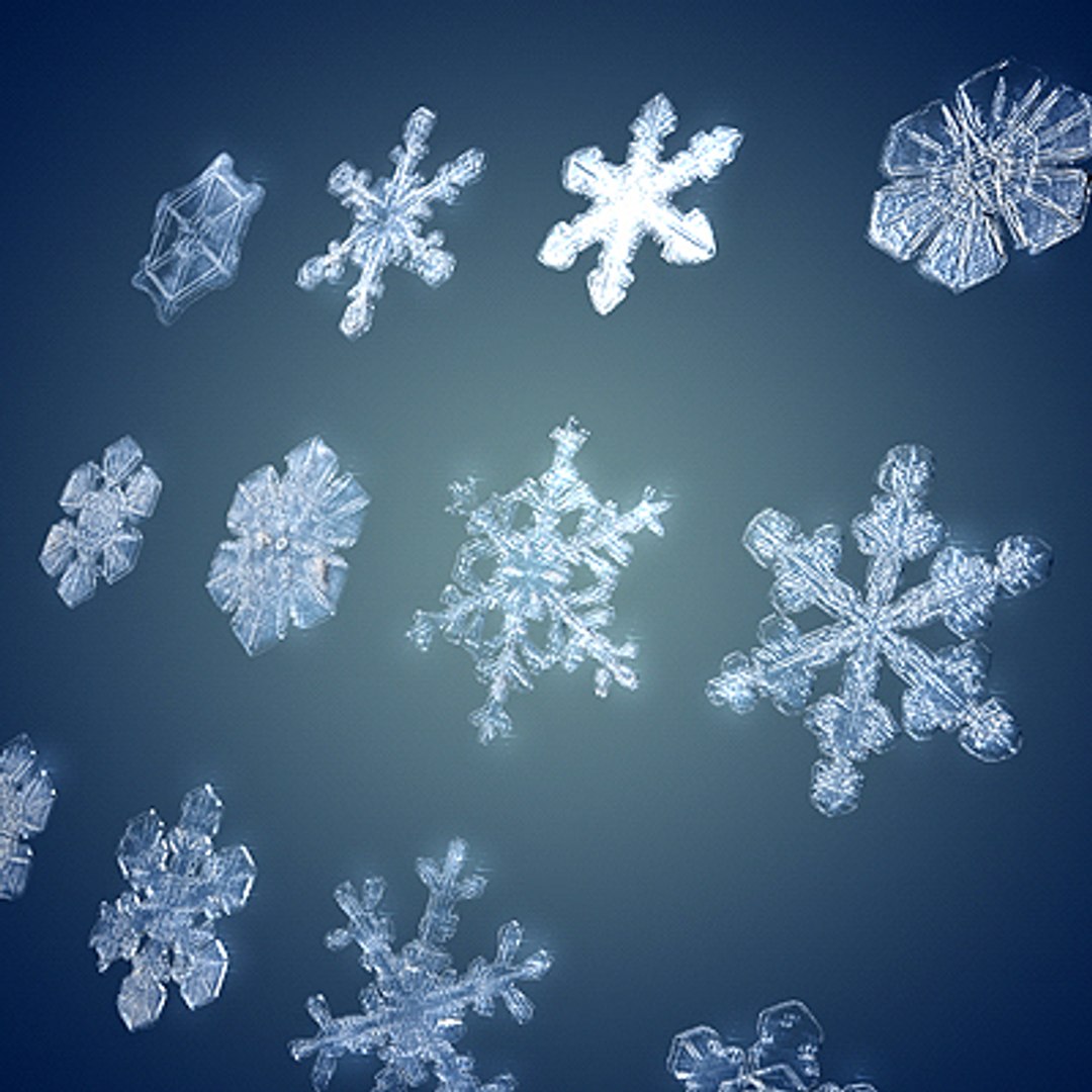 Snow Flakes 3d Model