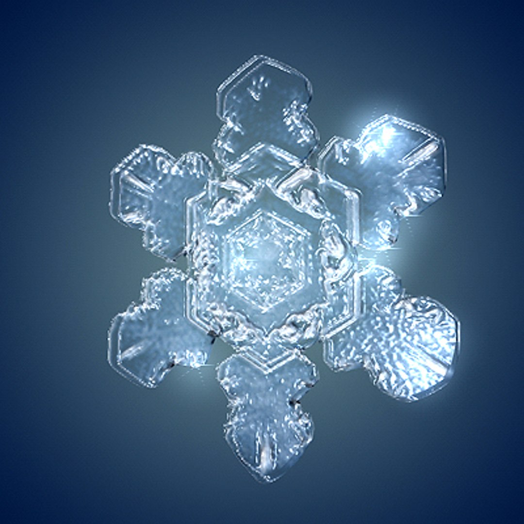 Snow Flakes 3d Model