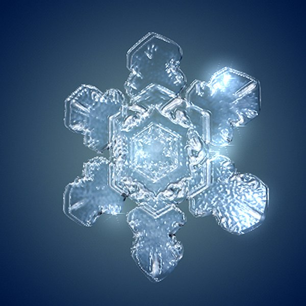 snow flakes 3d model