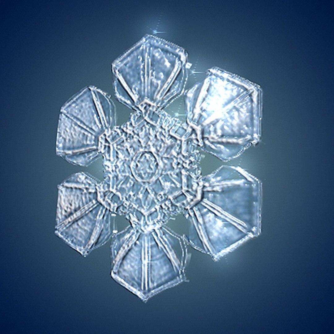 Snow Flakes 3d Model