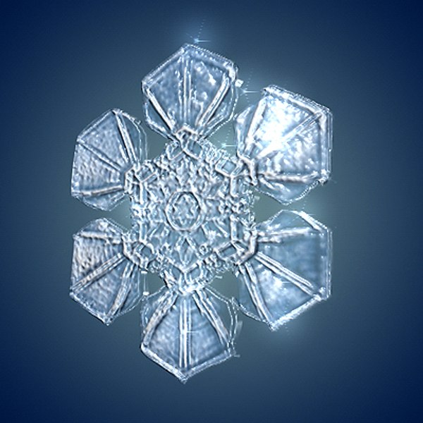 snow flakes 3d model