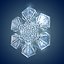 Snow Flakes 3d Model