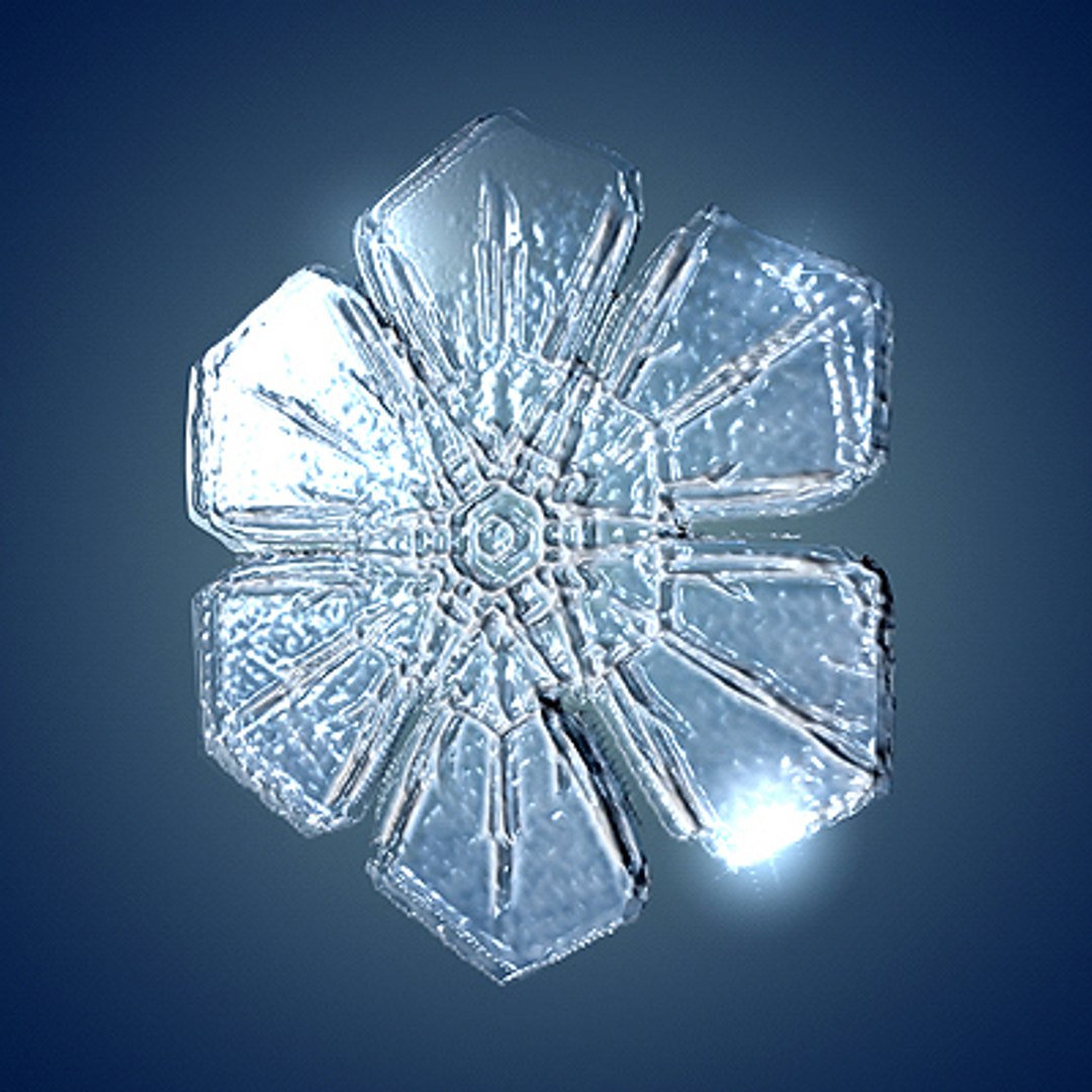 Snow Flakes 3d Model