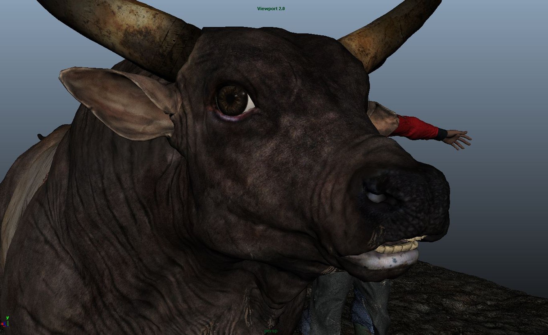 3d Model Bull Zbrush