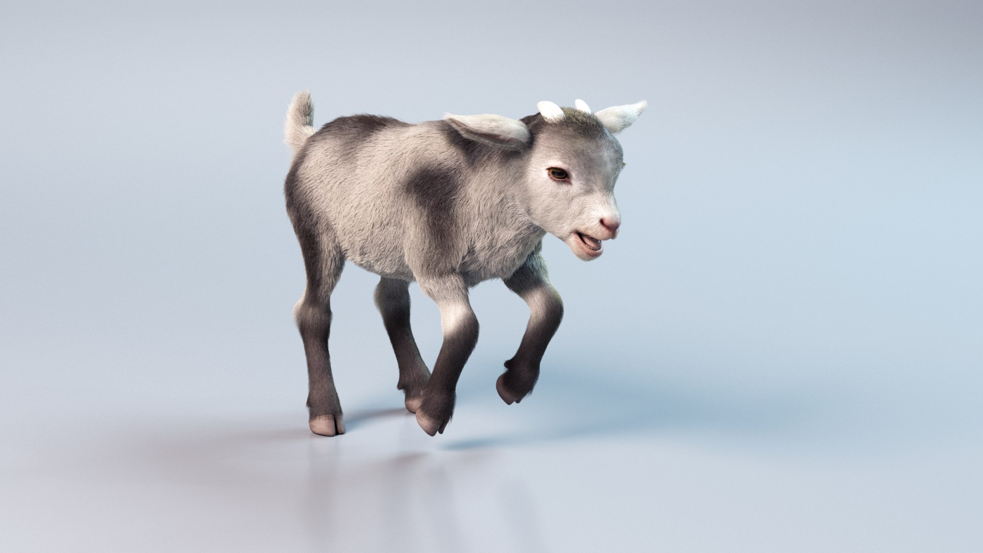 Goat Kid Animated Maya 3D - TurboSquid 2172934
