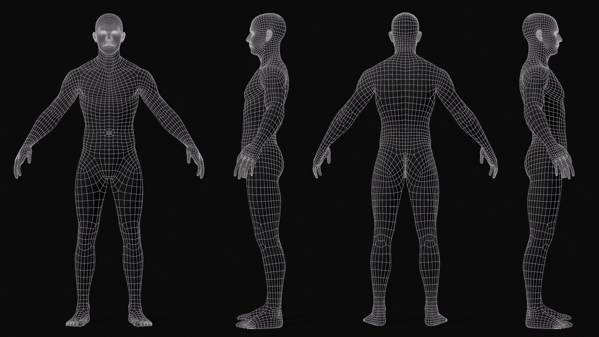 Realistic Athletic Man Body Base Mesh 3D - TurboSquid 2018166