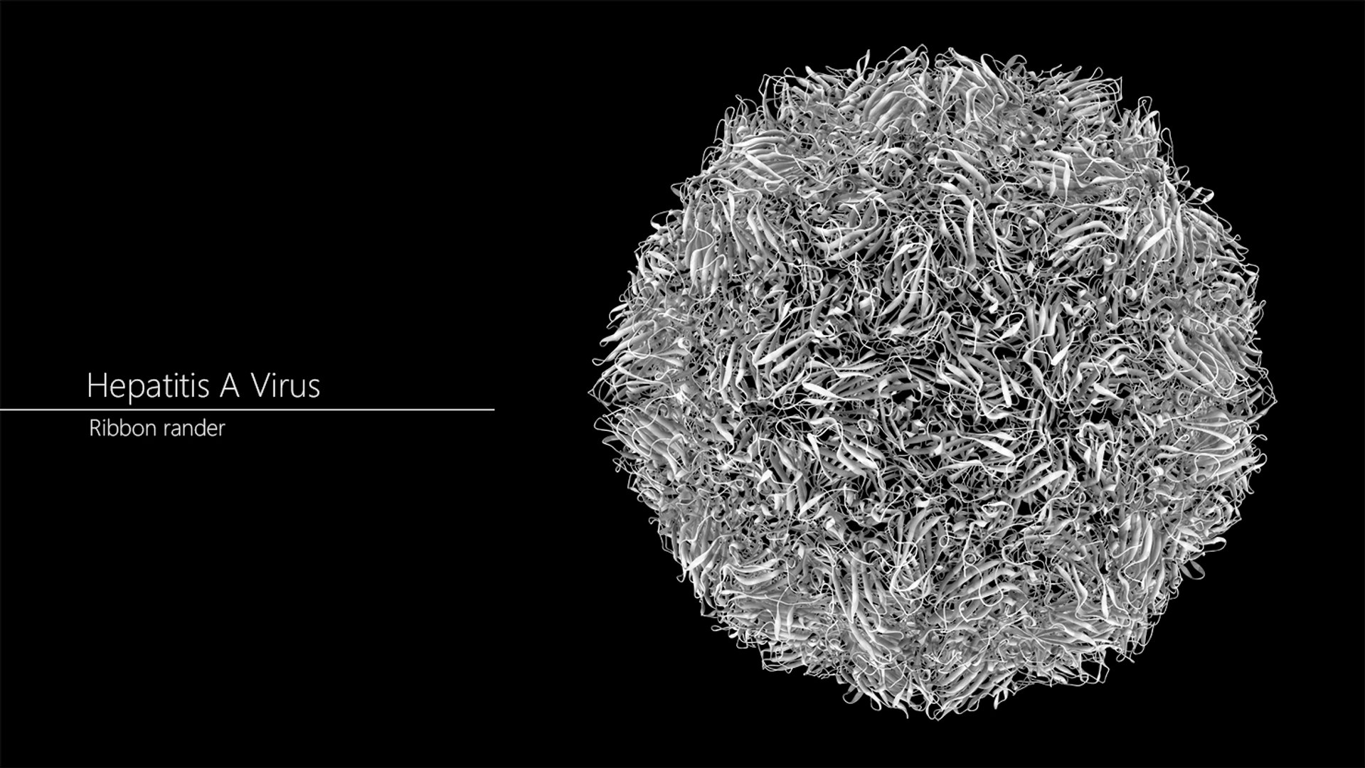 Scientifically Accurate Structure Hepatitis 3D - TurboSquid 1348626