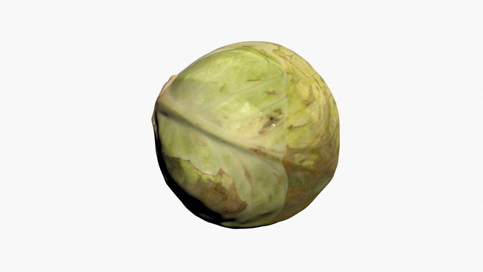 Cabbage 3D Scan High Quality 3D Model - TurboSquid 1784430