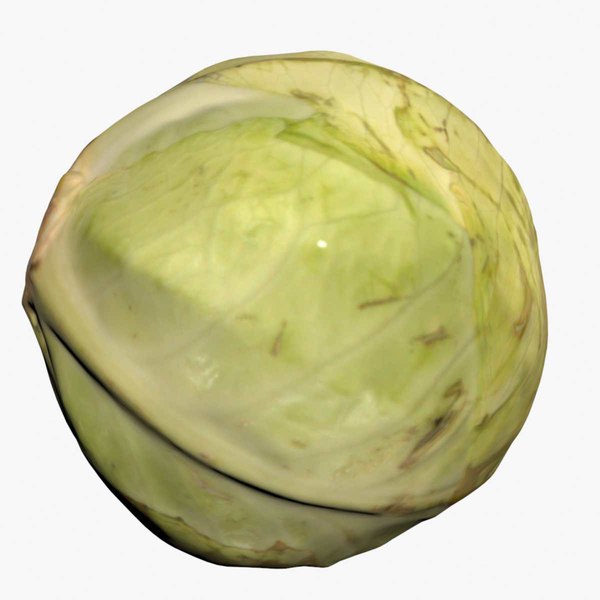 Cabbage 3D Scan High Quality 3D model - TurboSquid 1784430