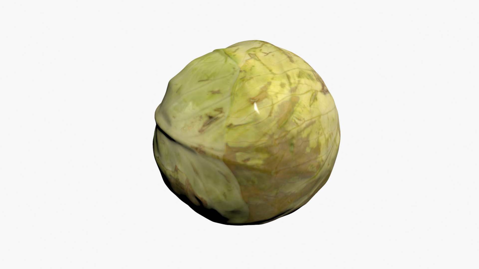 Cabbage 3D Scan High Quality 3D Model - TurboSquid 1784430
