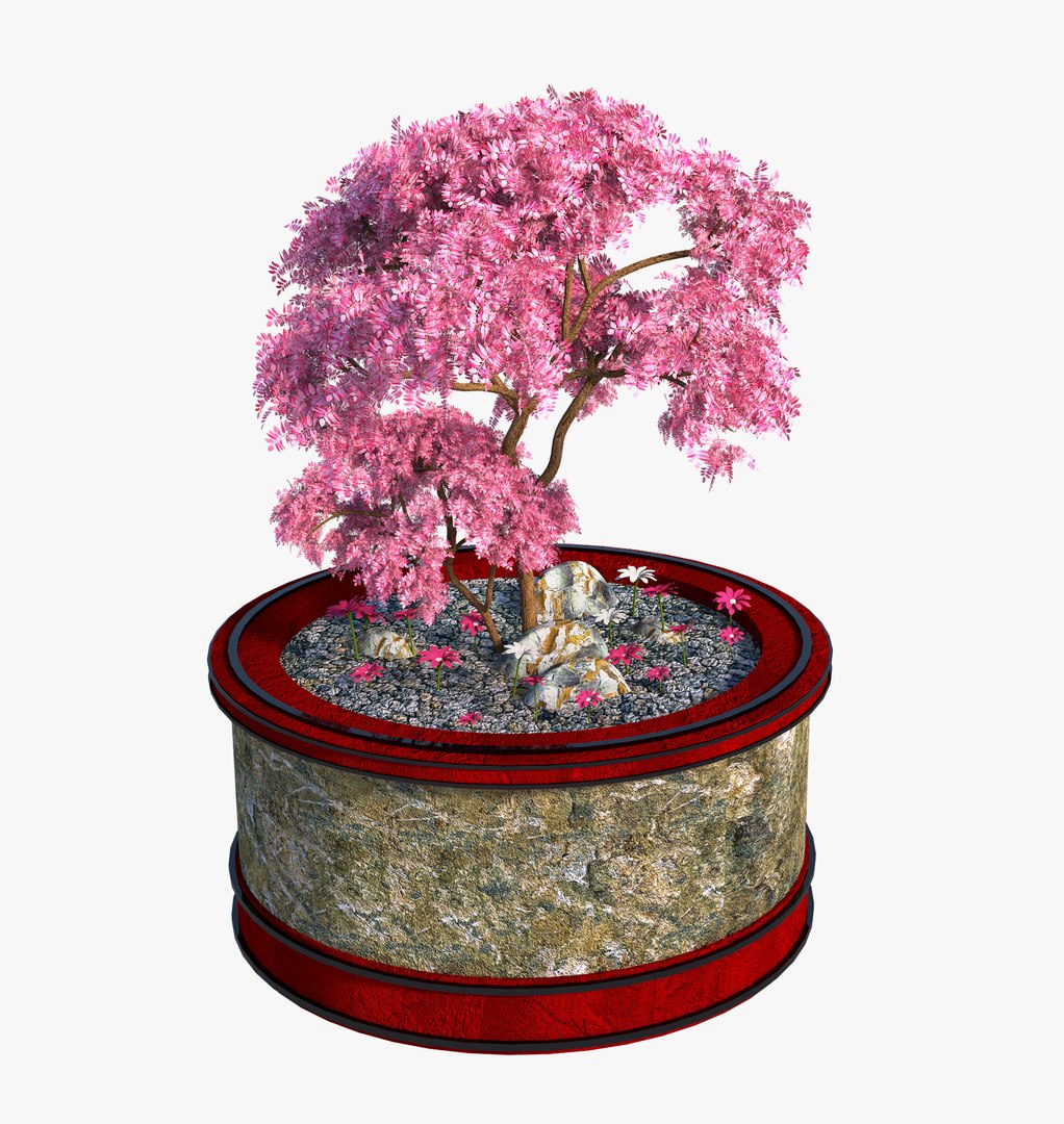 Tree japan 3D model - TurboSquid 1379065
