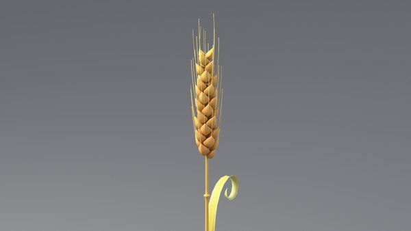 modelo 3d Cartoon Wheat Spikelet 05 - TurboSquid 2050595