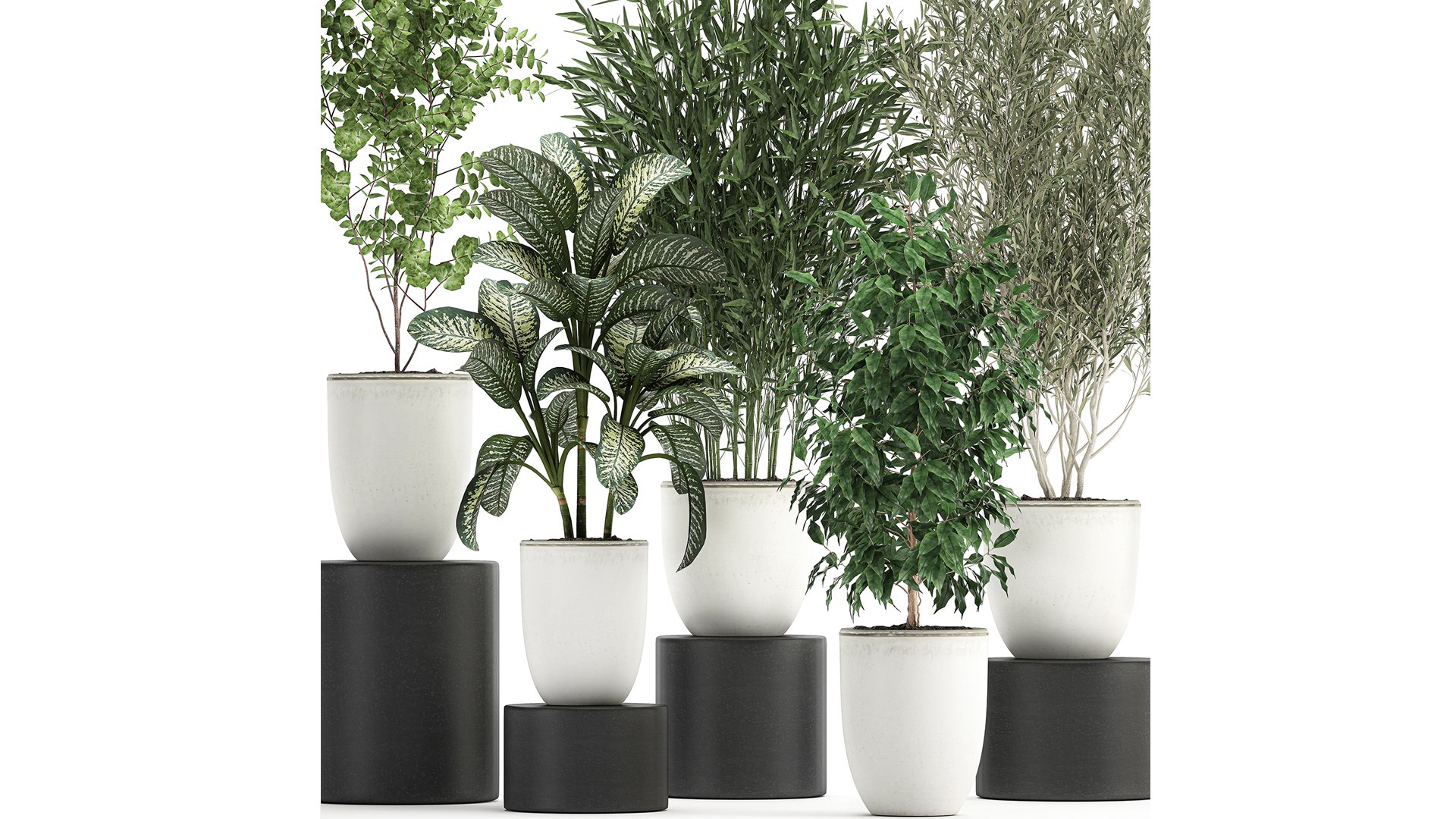 3D Decorative Tree Pot - TurboSquid 1684782