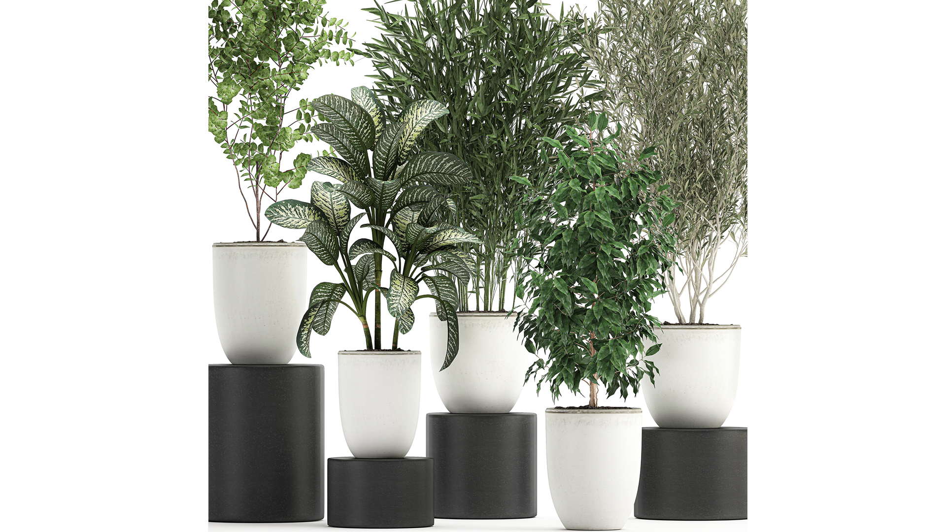 3D decorative tree pot - TurboSquid 1684782