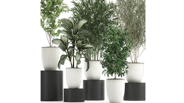 3D decorative tree pot - TurboSquid 1684782