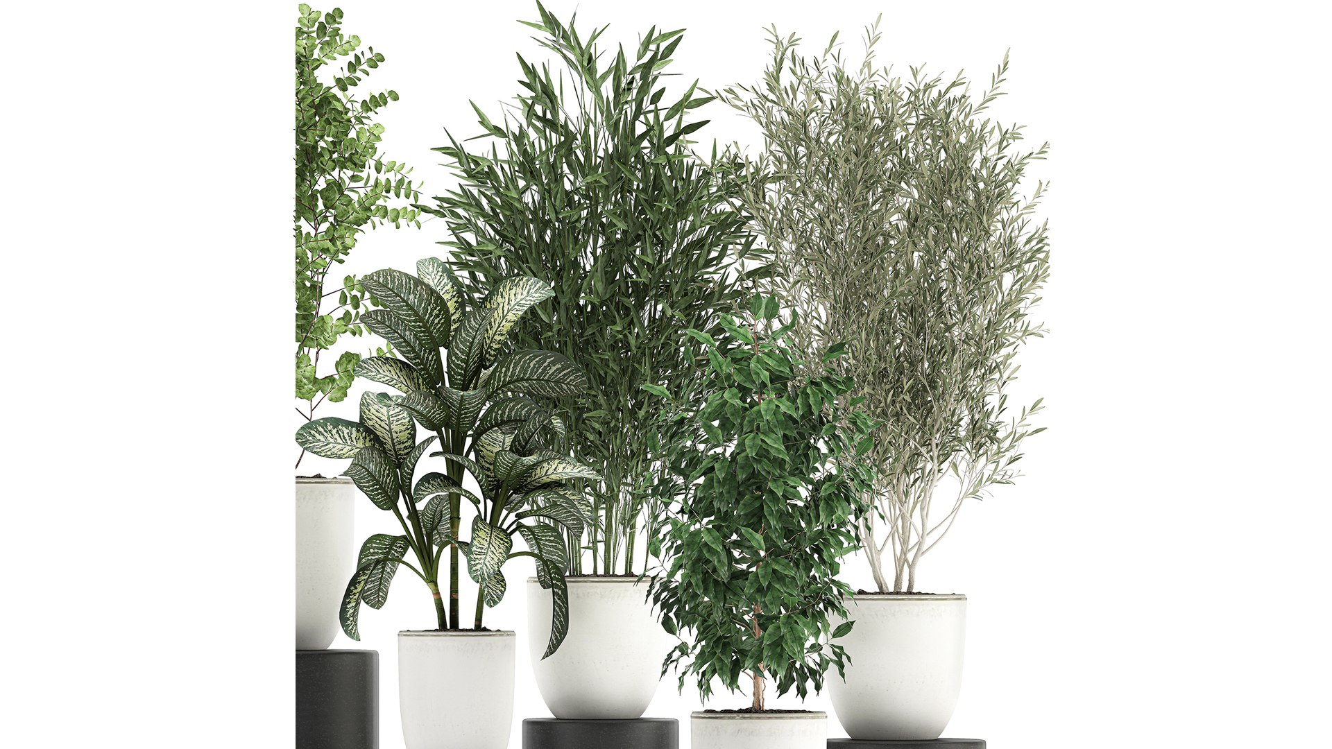 3D Decorative Tree Pot - TurboSquid 1684782