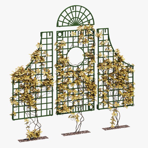 3D Trellis Models | TurboSquid